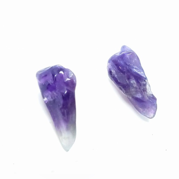 Hand Crafted | Jewelry | Amethyst Fang Tooth Claw Talon Spike Wolf Vamp ...